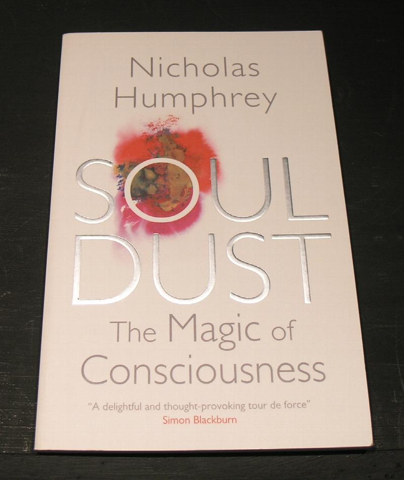 Soul Dust. The Magic of Consciousness